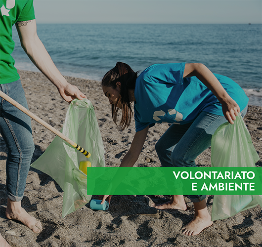Volontariato e ambiente. La sfida culturale per la difesa del nostro ...