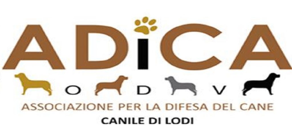 Adica – Ricerca volontari | CSV Lombardia