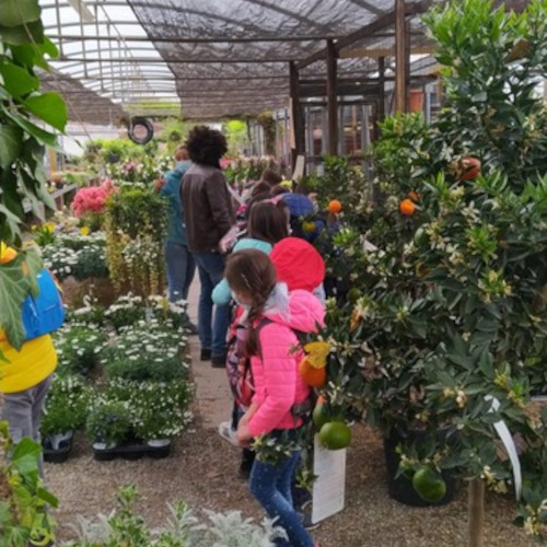 Patto educativo di comunità a Monza: a 500 bambini il “Passaporto del ...