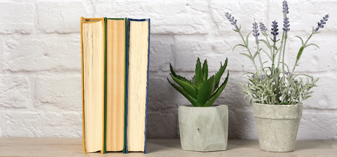 Presentazione del volume Leonesse - CSV Lombardia