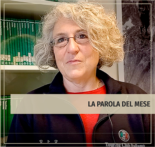 Bene comune: la parola scelta da Paola Rambaldi (consigliere CSV Milano ...