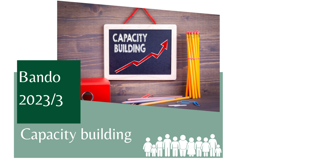Capacity building del non profit. Ecco il nuovo bando di Fondazione ...