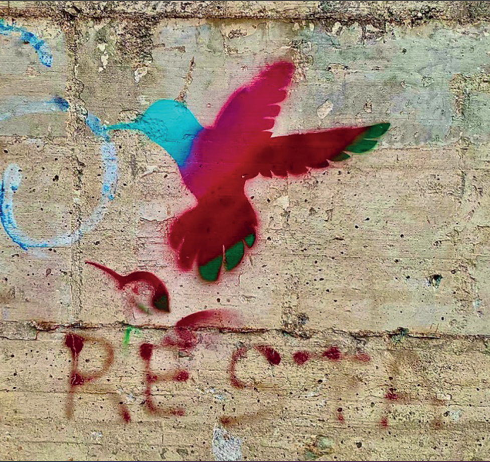 Fare la pace con il mondo - CSV Lombardia